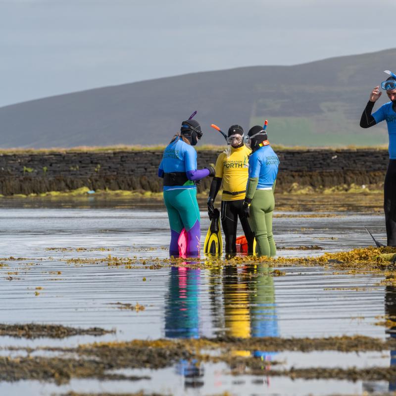 Restoration Forth | WWF